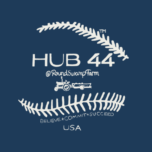 Hub 44 logo